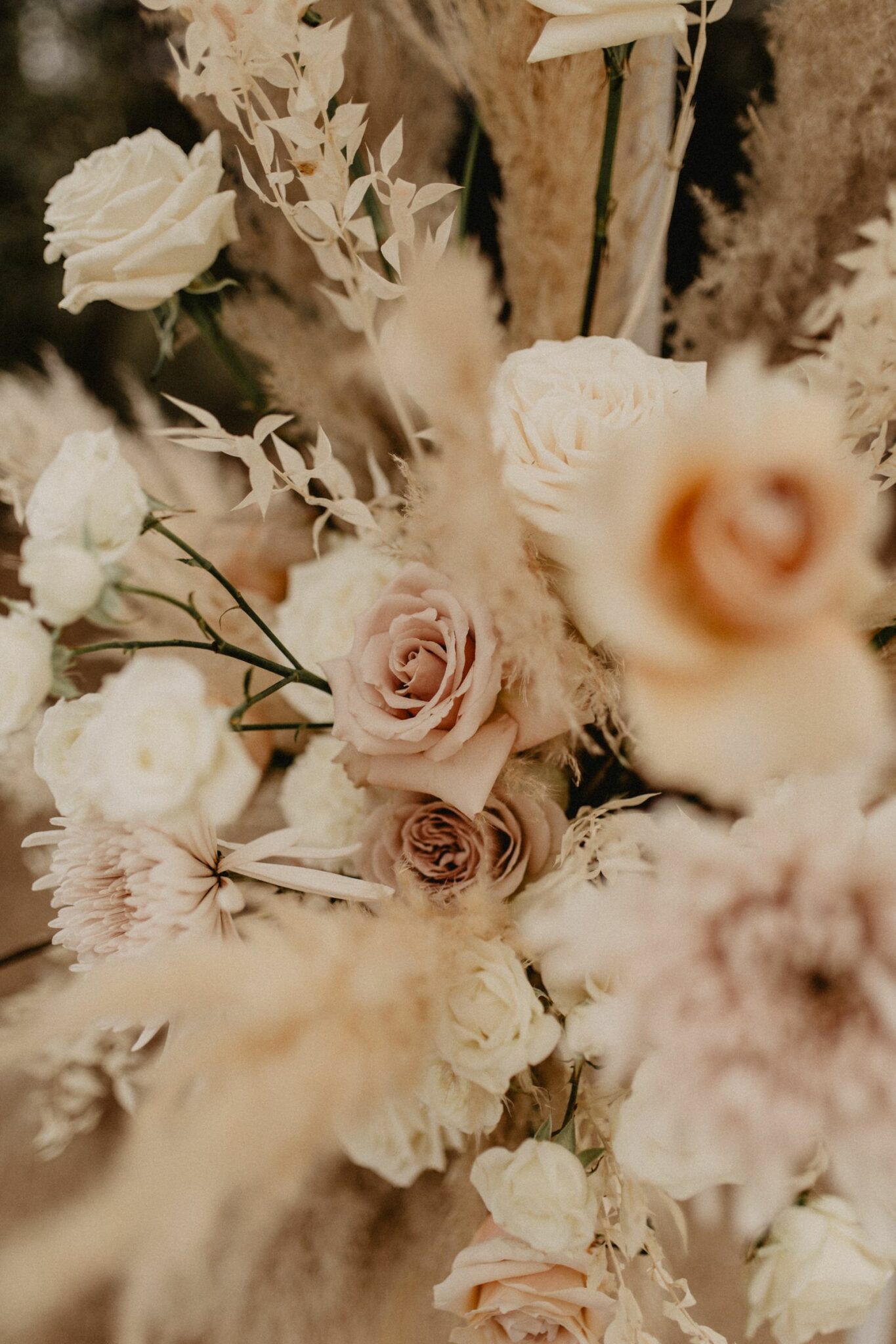 Claire & Hubert : Un mariage en Provence au milieu des oliviers - Albe ...